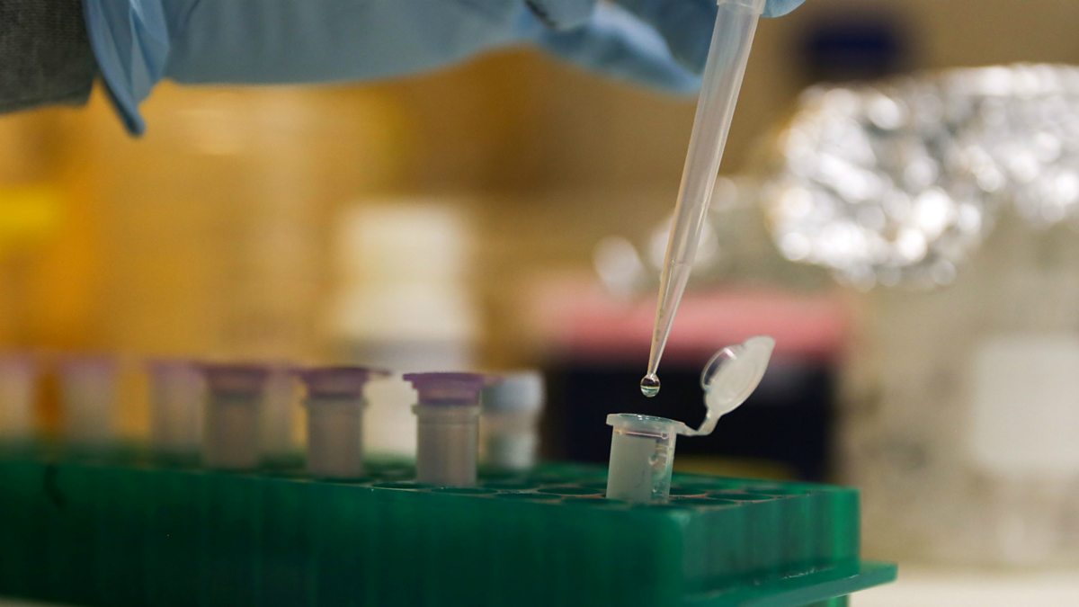 BBC World Service - Newshour, DNA 'surgery' on embryos - a world first