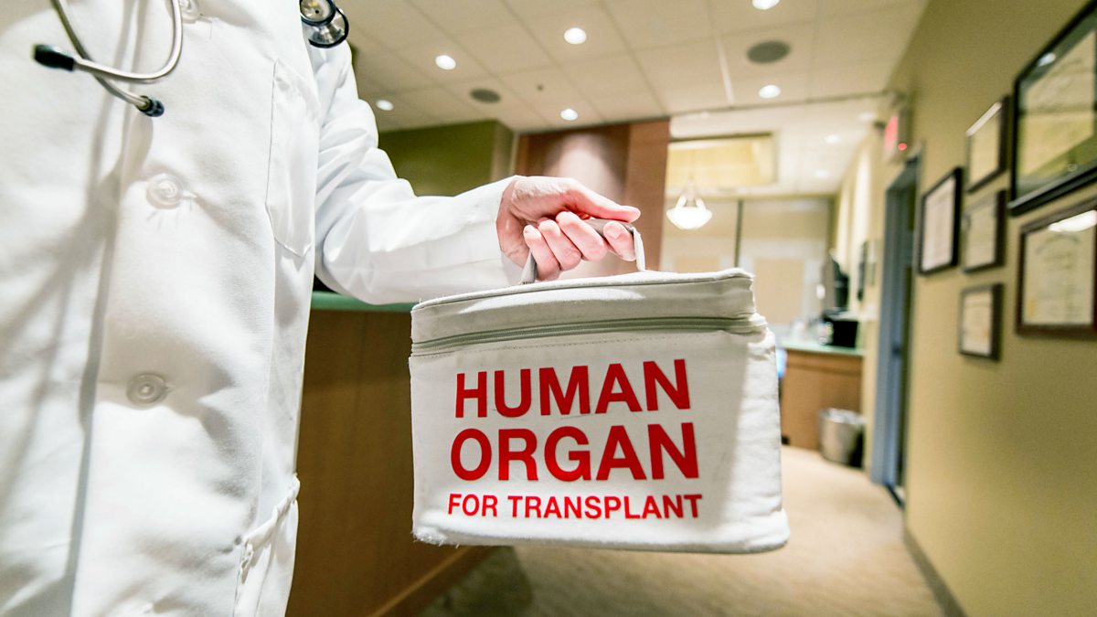 BBC World Service - CrowdScience, Can We Make Artificial Organs?