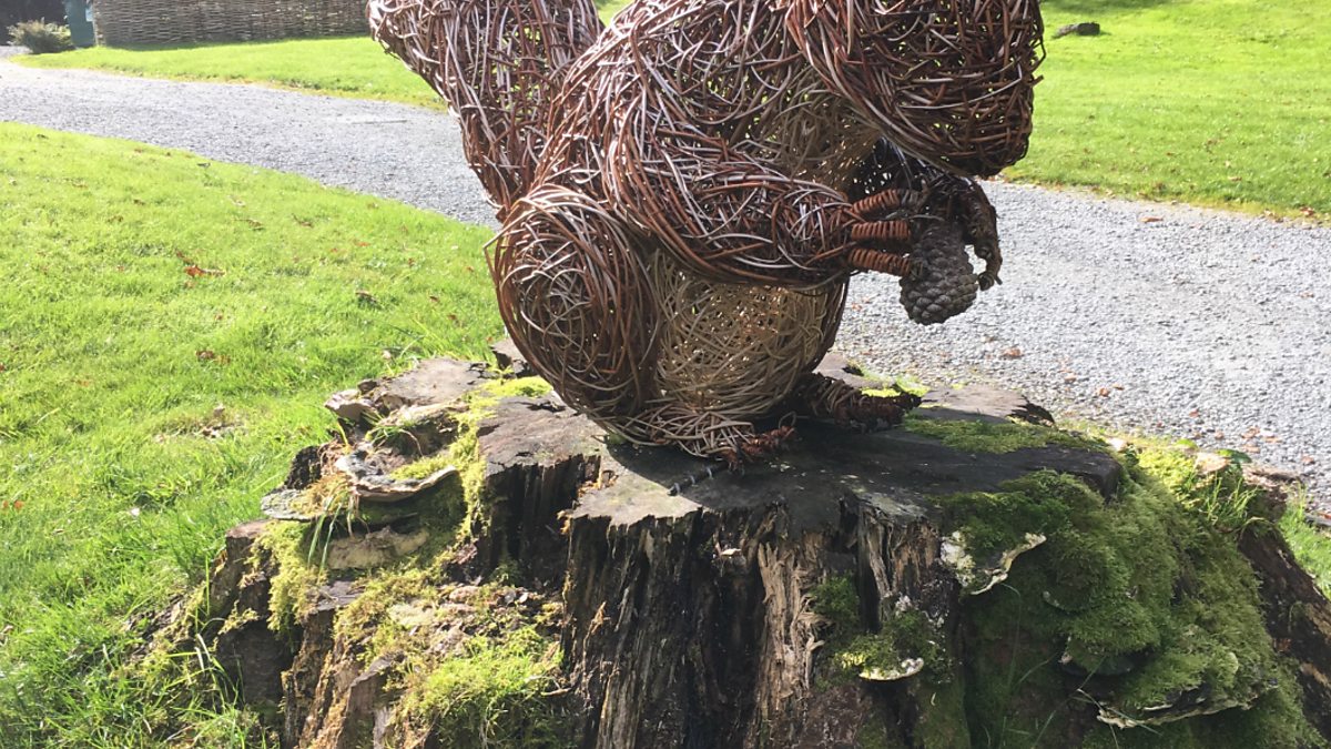 BBC Radio 4 - A red squirrel sculpture at Allan Bank, Ambleside - You ...