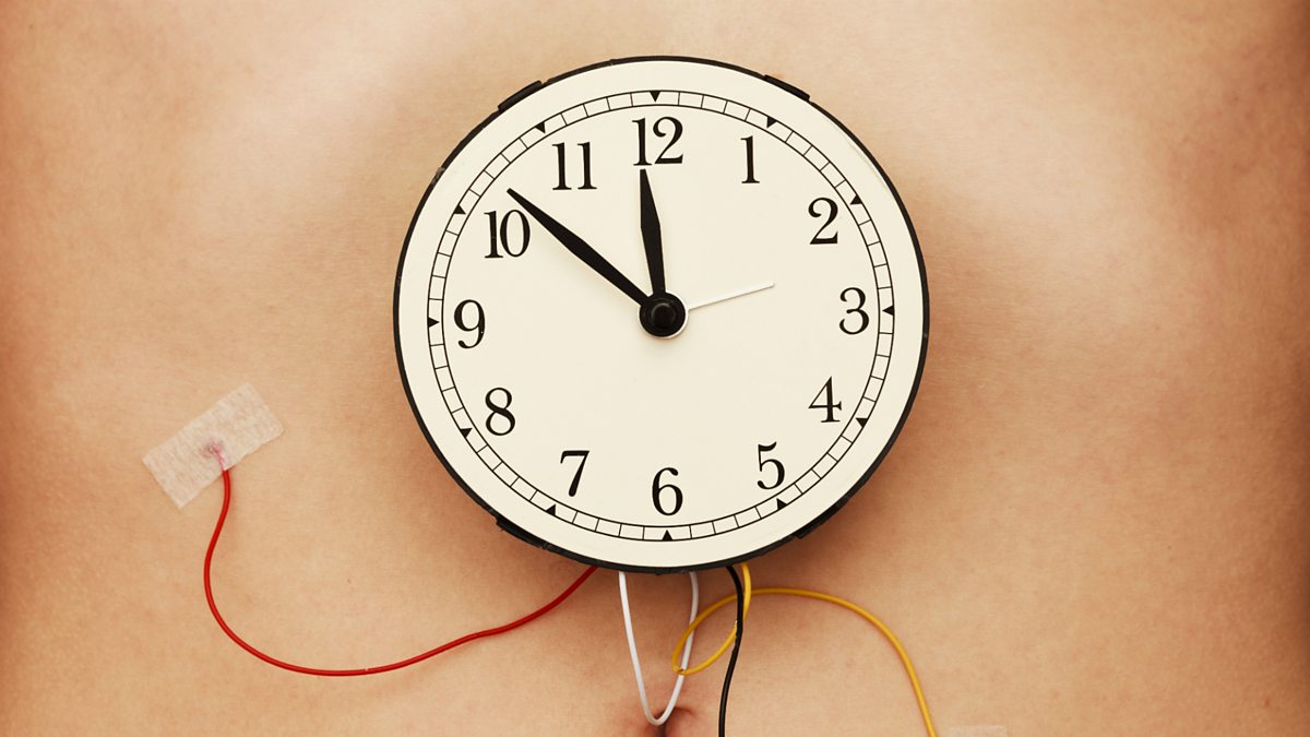 BBC World Service - Health Check, Prize-winning Body Clock News