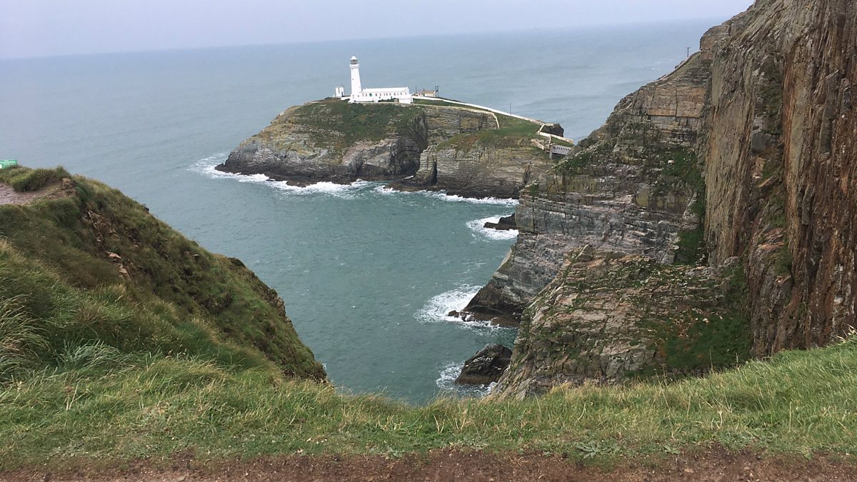 BBC Radio Wales - Country Focus, RSPB South Stack at 40, A Spectacular ...