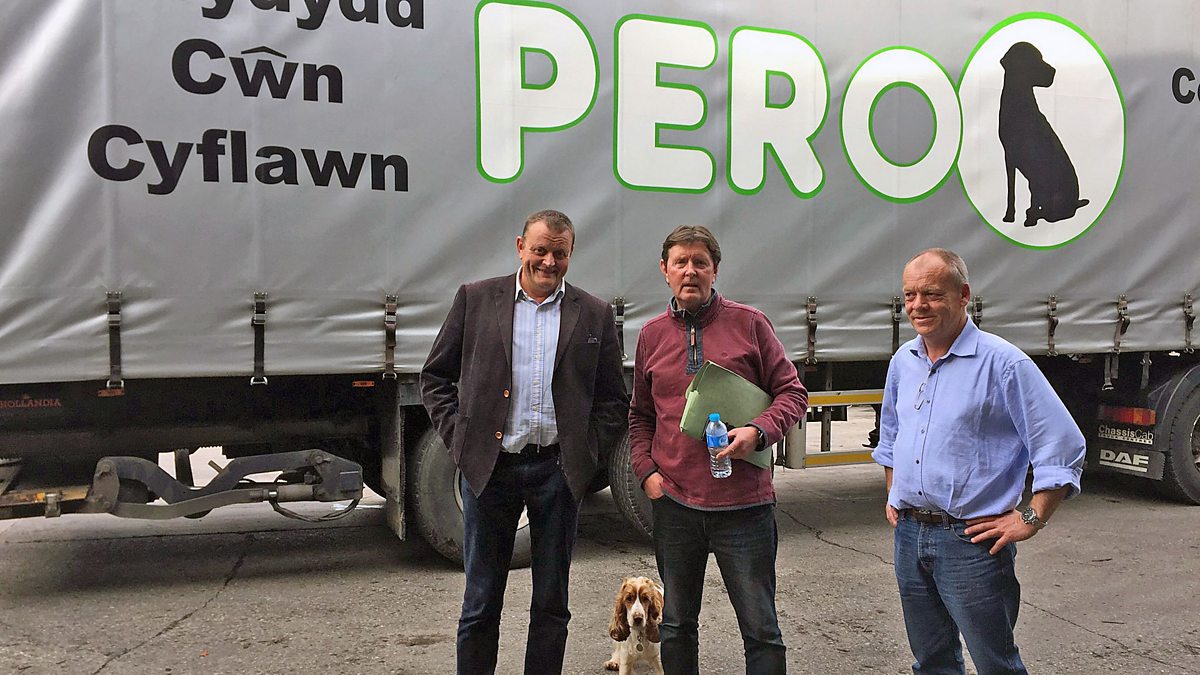 BBC Radio Cymru - Gari Wyn, Pero