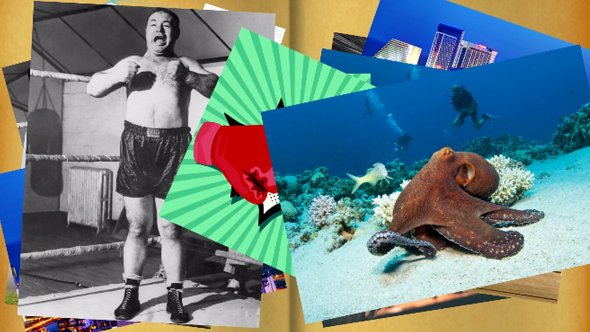 BBC Radio 5 Live - Bunce's Tales of the Extraordinary, The Boxer and ...