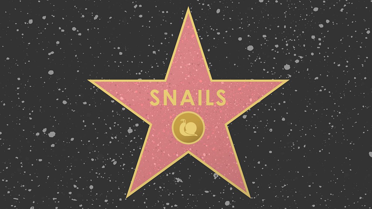 BBC - Seven of the world's most famous snails