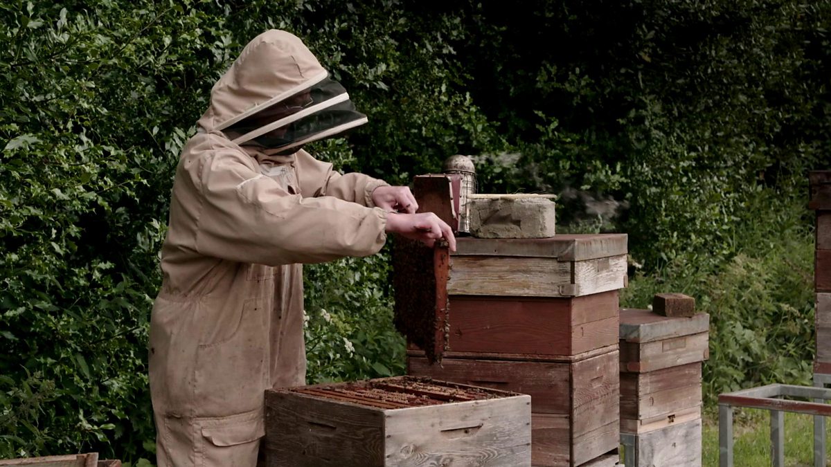 BBC Four - Retreat: Meditations from a Monastery, Series 1, Pluscarden ...