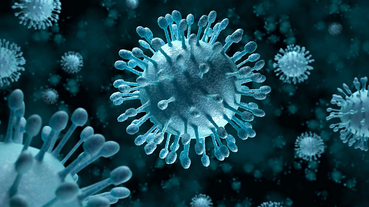 BBC World Service - Health Check, The 'Hidden' Virus That Attacks the Liver