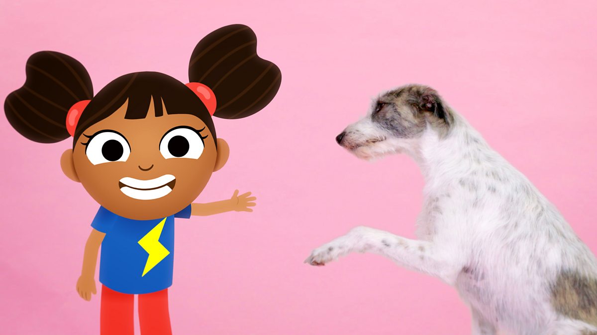 Yakka Dee! - Series 1: 2. Dog - BBC iPlayer