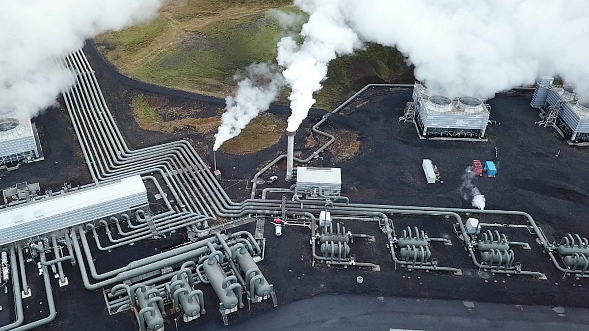 BBC News - Click, The plant that captures CO2 out of the air