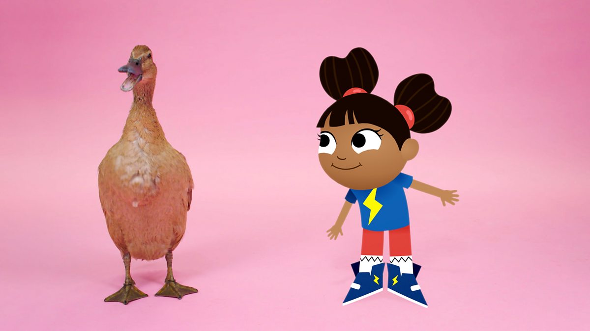 Yakka Dee! - Series 1: 6. Duck - BBC iPlayer