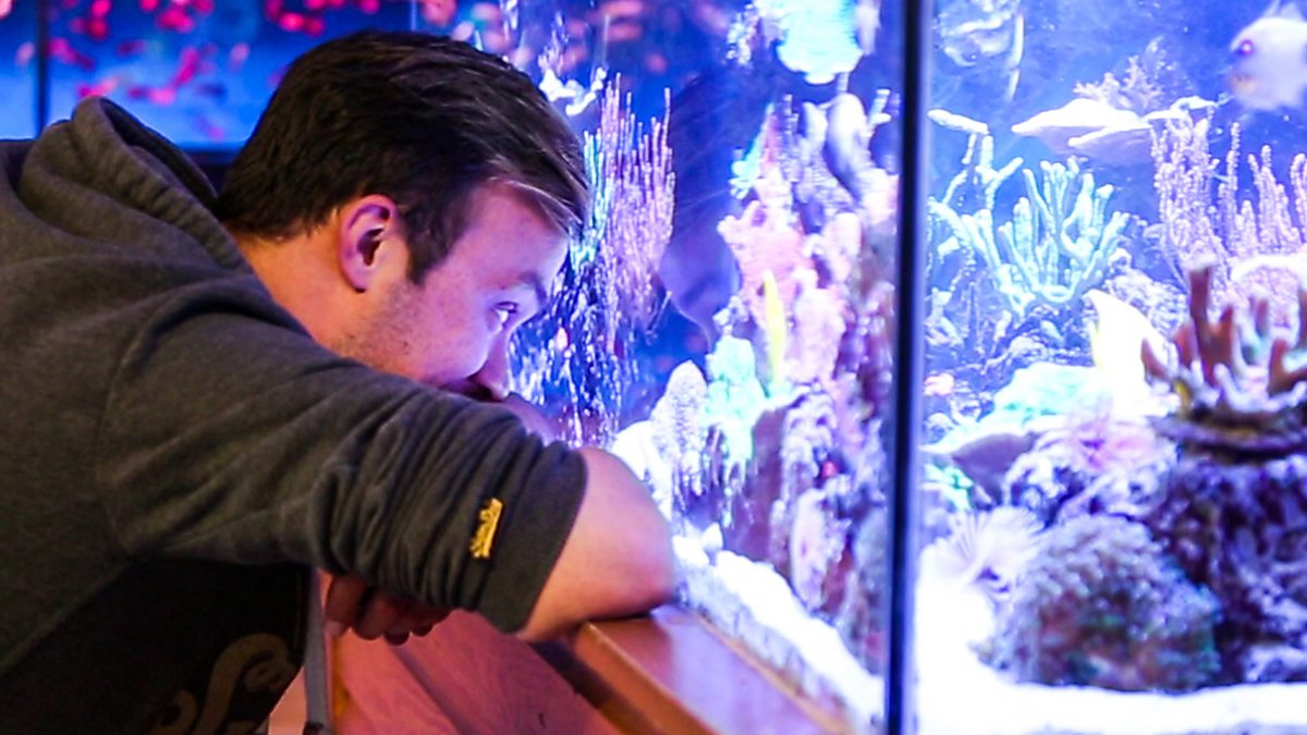 BBC Two - Employable Me, Series 2