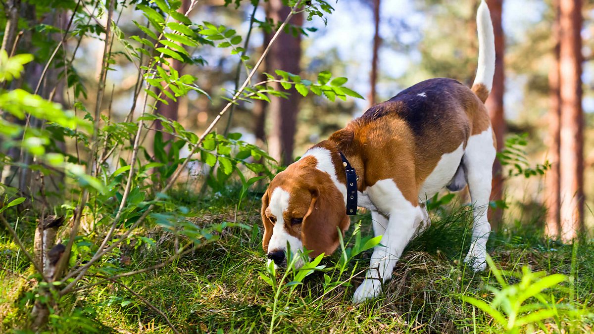 BBC Radio Ulster - Thought for the Day, Rev Simon Henning, Wednesday ...