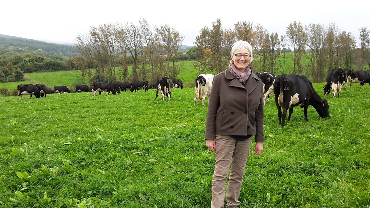 BBC Radio 4 - On Your Farm, Queen of Cheddar