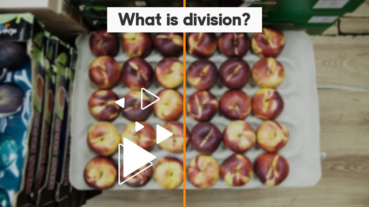 BBC - Skillswise clips, Post-16 maths: Division - clip 01
