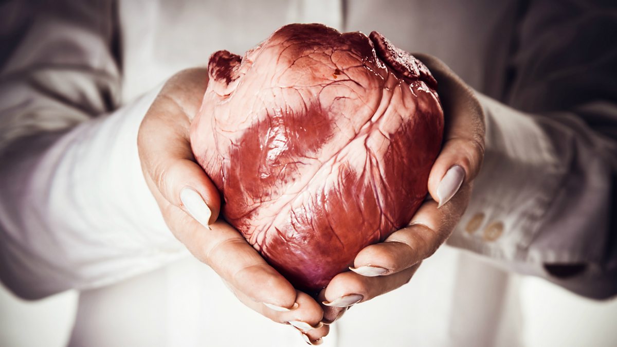 BBC World Service - Health Check, 50 Years Since First Heart Transplant