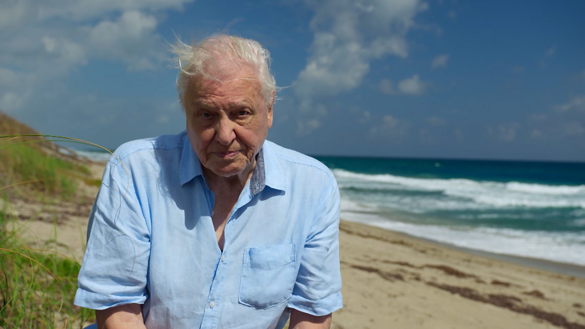 BBC One - Blue Planet II, Series 1, Our Blue Planet, The future of our oceans