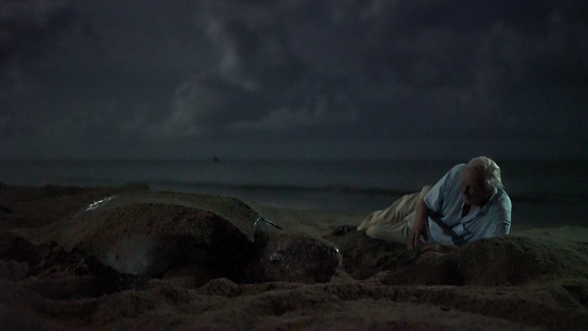 BBC One - Blue Planet II, Series 1, Our Blue Planet, Protecting ...