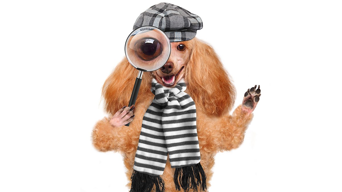 BBC Radio 2 - Liza Tarbuck, Crime-solving pets, The Pet Detectives