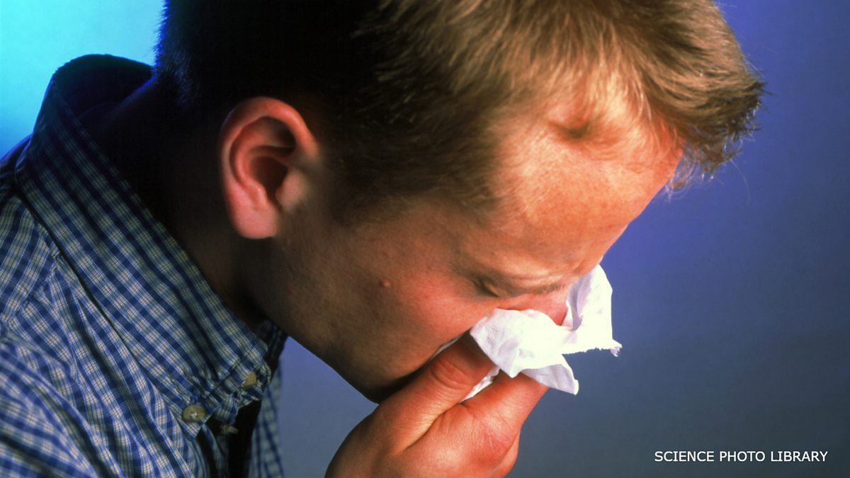 BBC World Service - Newsday, 'Man flu' may be real