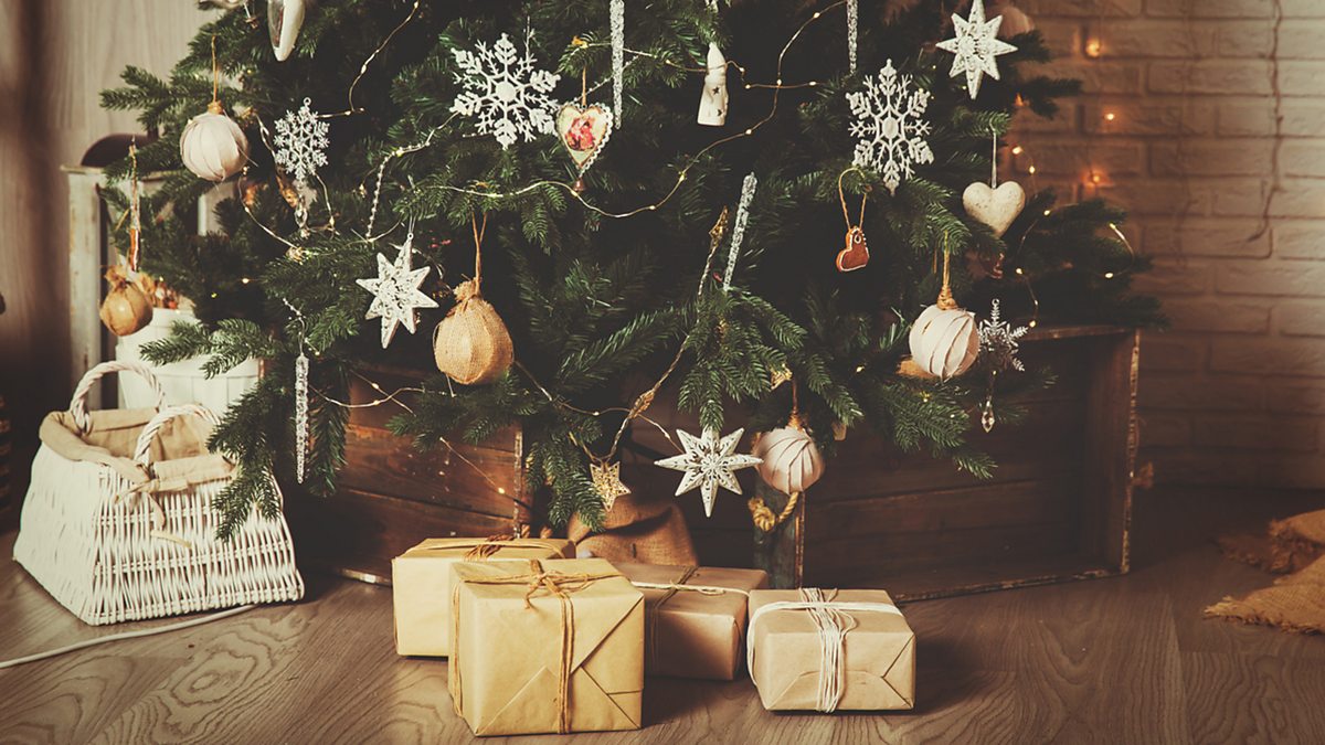 BBC Radio 5 Live In Short Are Real Or Fake Christmas Trees Better bbc-radio-5-live-in-short-are-real-or-fake-christmas-trees-better