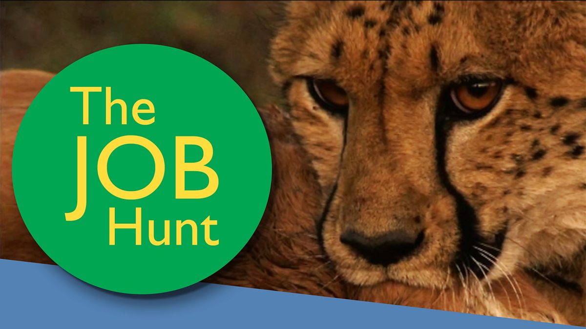 BBC - 7 ways you can improve your job hunt