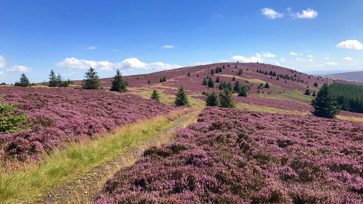 BBC Scotland - BBC Scotland - 5 breathtaking photographs from ...