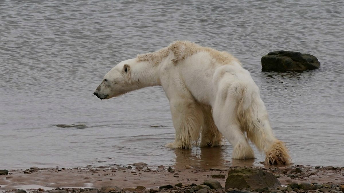 BBC World Service - The Conversation, Women Behind the Lens ...