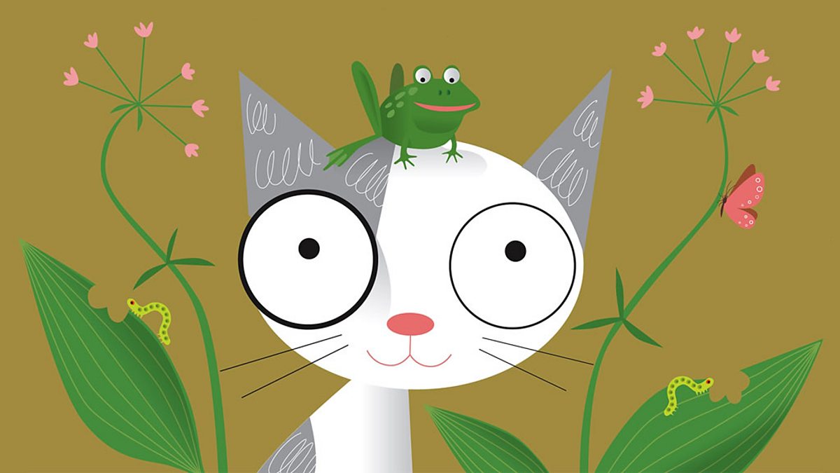 CBeebies Radio - Story Time, Oscar And The Frog