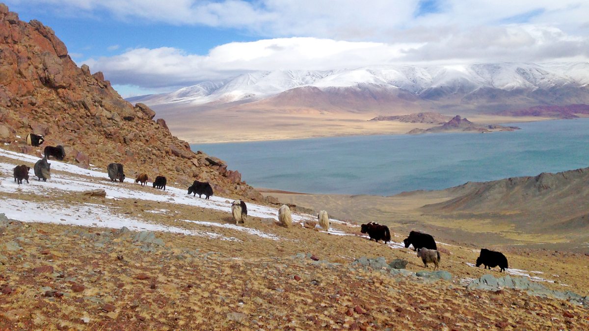 BBC Radio 4 - From the Steppes to the Stage