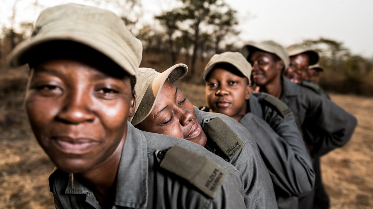 BBC World Service - The Outlook Podcast Archive, Zimbabwe's Vegan Anti ...