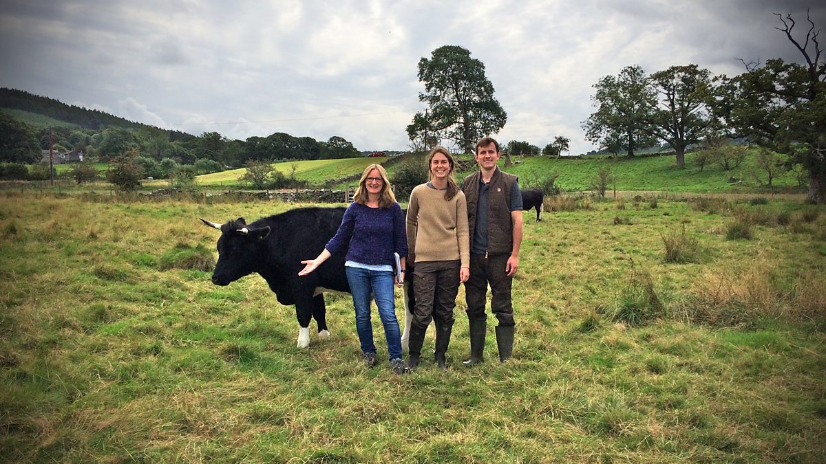 BBC Radio 4 - On Your Farm, Creating a Farm from Nothing