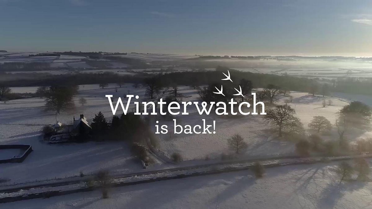 BBC Two - Winterwatch, Winterwatch 2018 is here!