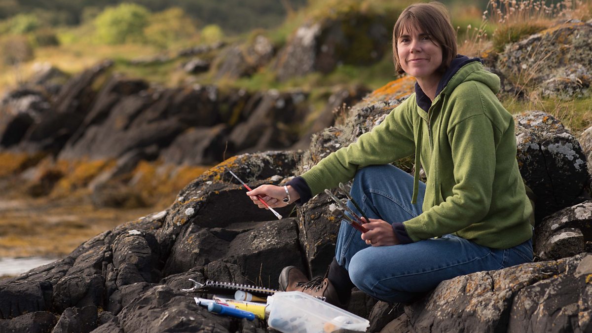 BBC Radio 4 - Tweet of the Week, Jane Smith