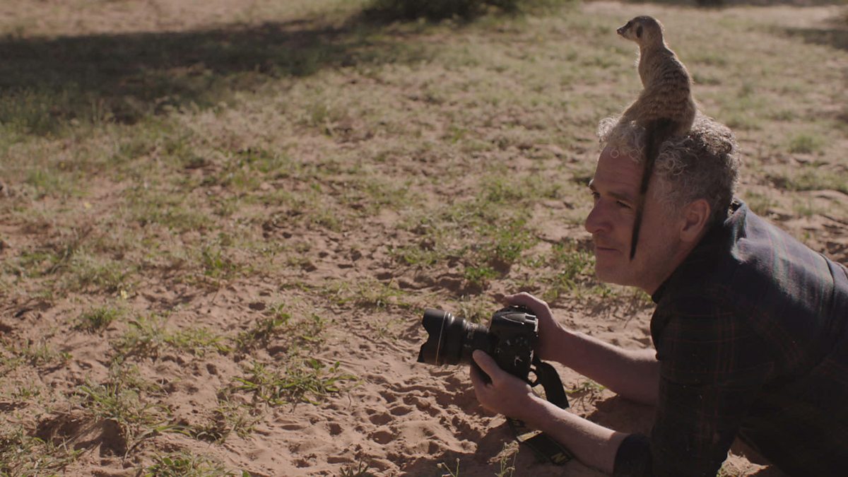 BBC Two - Animals with Cameras, Series 1, Episode 1, Web exclusive ...