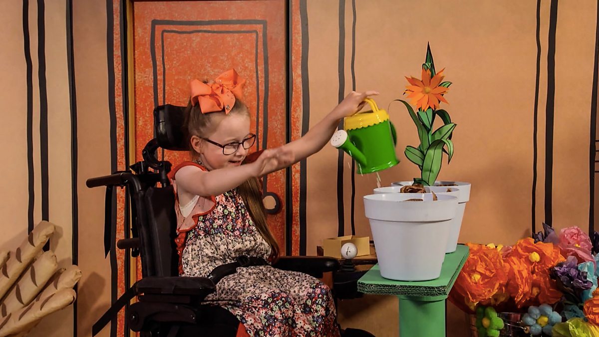 Biggleton - Series 1: 17. The Mystery Seed - BBC iPlayer