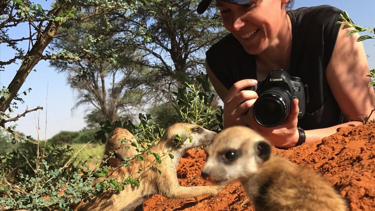 BBC Two - Animals with Cameras - Behind the scenes for series 1