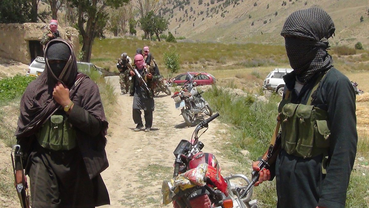 BBC World Service - The Inquiry, Why Are the Taliban So Resilient?
