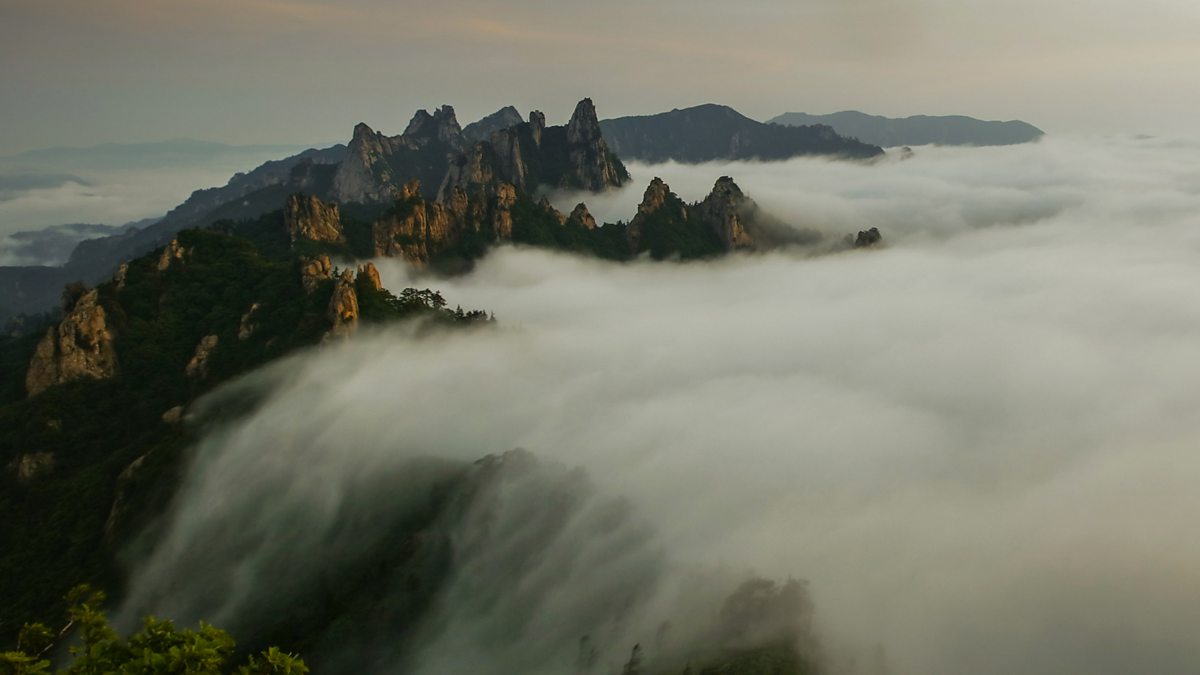 BBC Two - South Korea: Earth's Hidden Wilderness