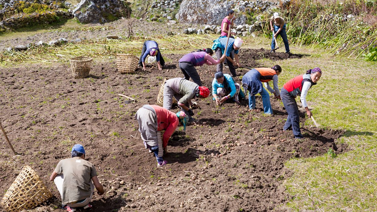 BBC World Service - World Questions, How should Nepal develop its economy?
