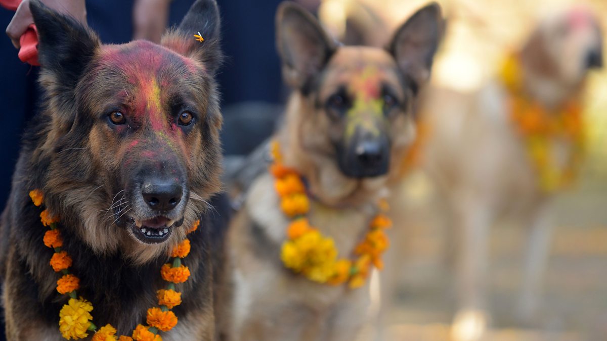 BBC World Service - Heart and Soul, Canis Major