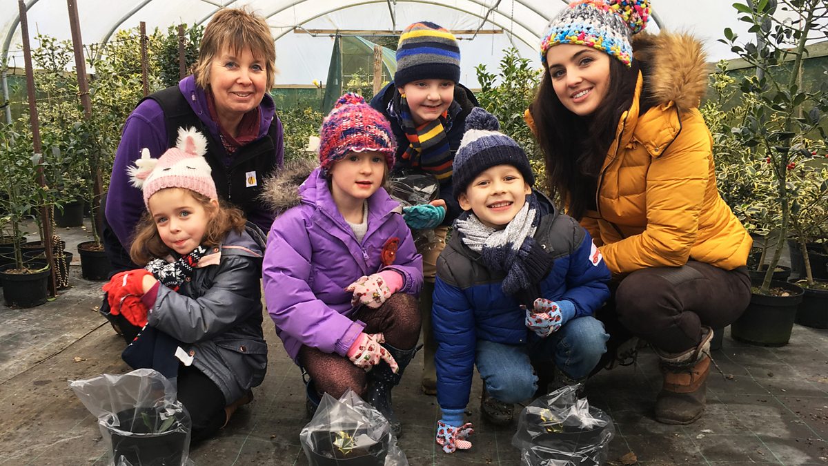Down on the Farm - Series 3: 16. Holly and Fell Ponies - BBC iPlayer
