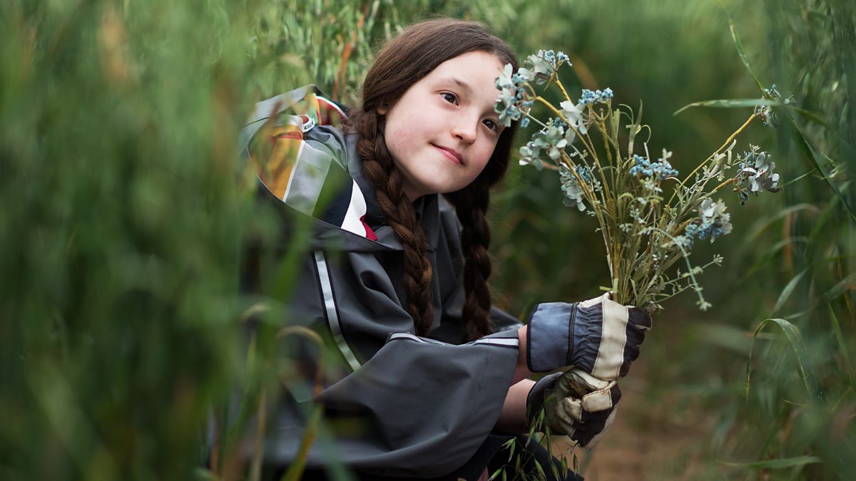 The Worst Witch - Series 2: 7. Hollow Wood - BBC iPlayer