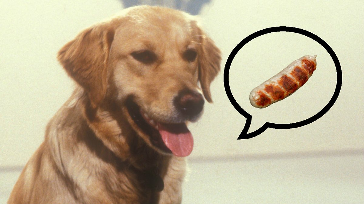 BBC Radio 3 - Essential Classics, Monday with Suzy Klein - Evelyn ...