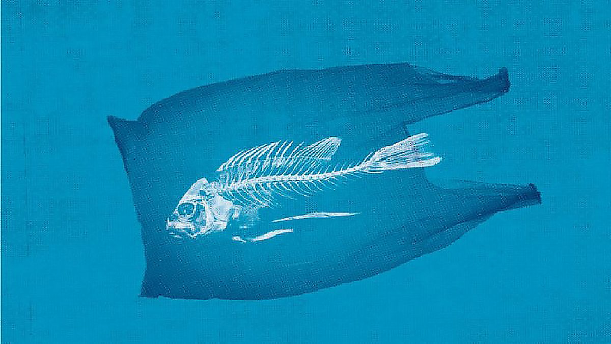 BBC - TEST: Talking to Children About Climate Change