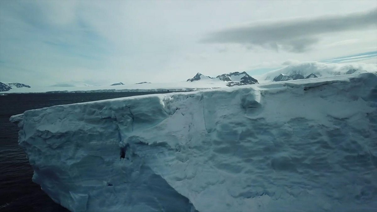 BBC News - BBC News at Ten, 23/01/2018, Under Antarctica's Sea