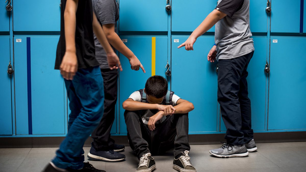 BBC World Service - The Why Factor, Bullies