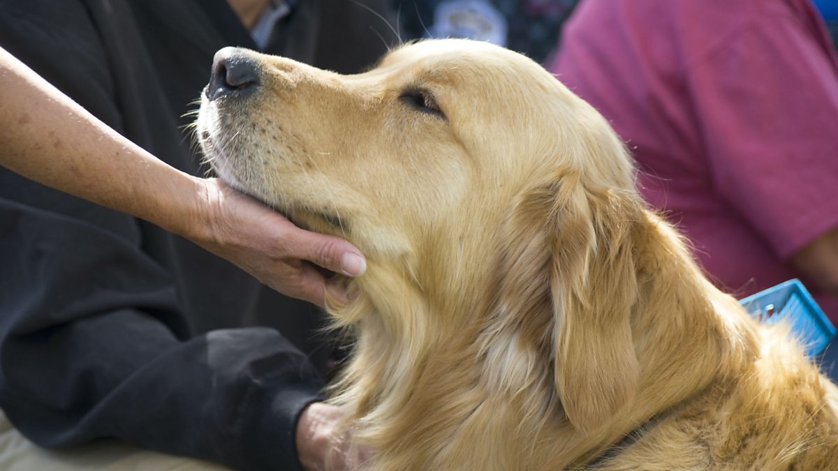 BBC Radio Ulster - Thought for the Day, Nicky Cahill, Tuesday 6th March ...