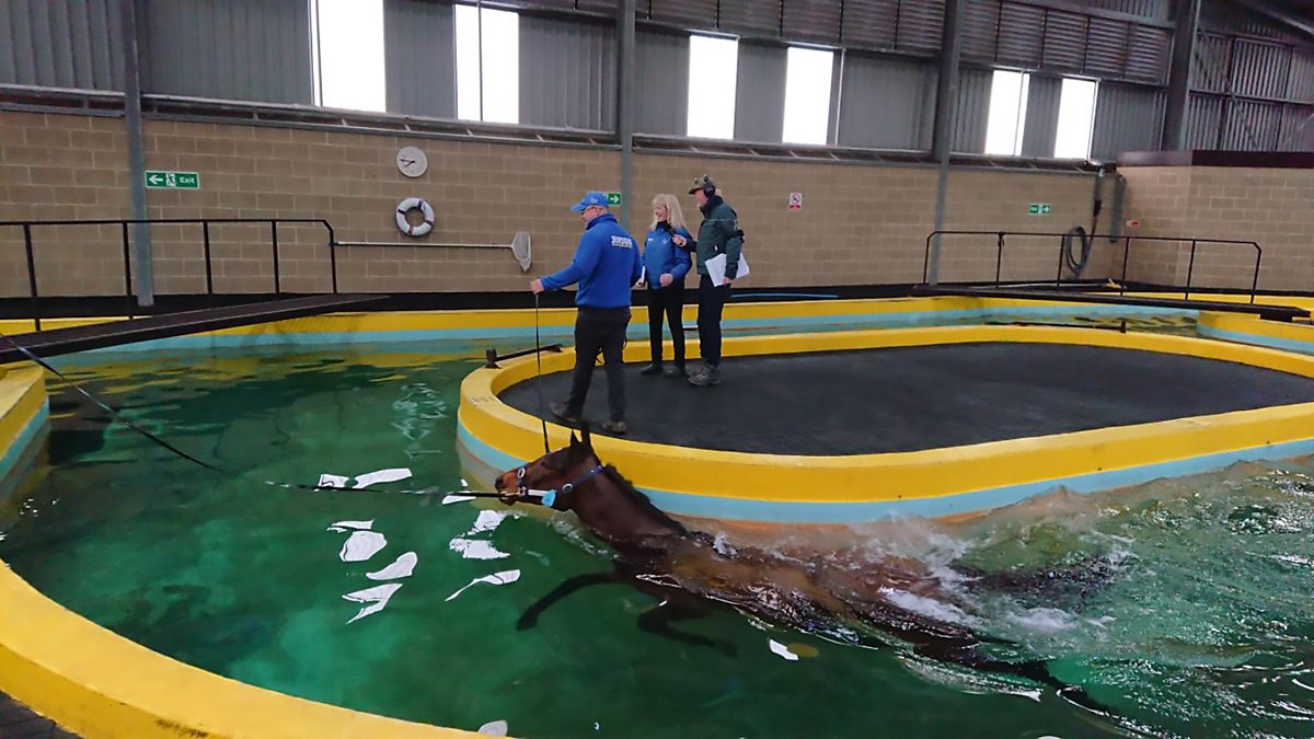 BBC Radio 2 - The Chris Evans Breakfast Show, Cheltenham Gold Cup Day ...