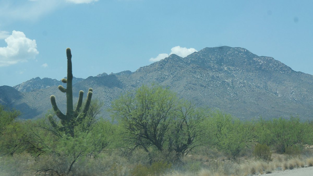 BBC World Service - The Documentary, Telling Tales, Telling Tales: The ...