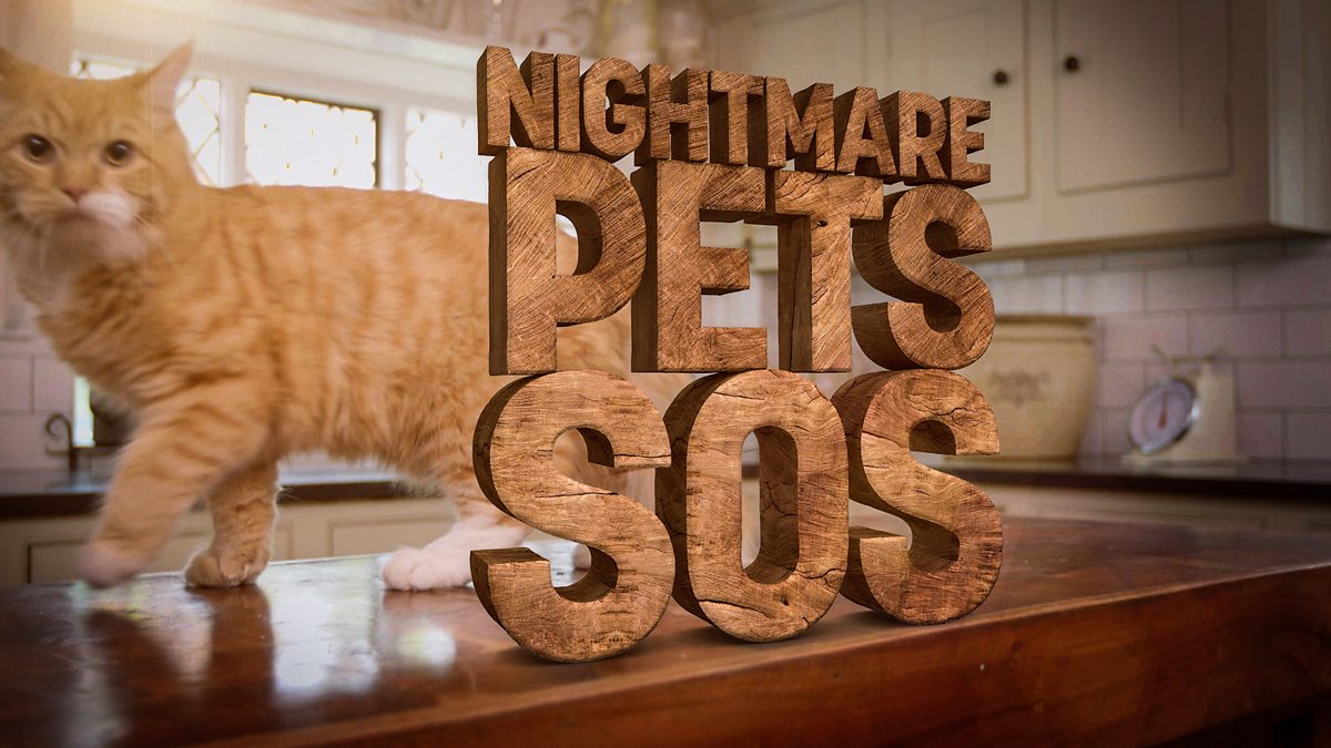BBC One - Nightmare Pets SOS