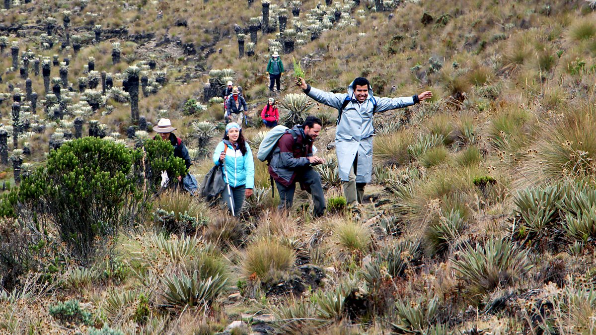 BBC Radio 4 - Costing the Earth, Undiscovered Colombia